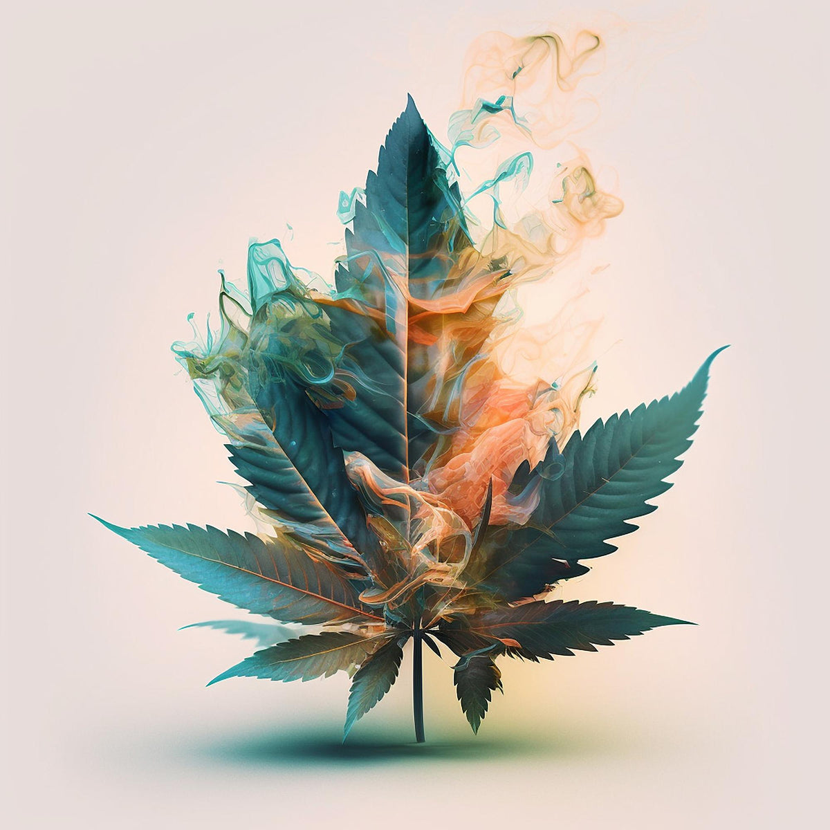 Does THCA Get You High? Exploring the Benefits of THCA and CBD – Moon Ranger